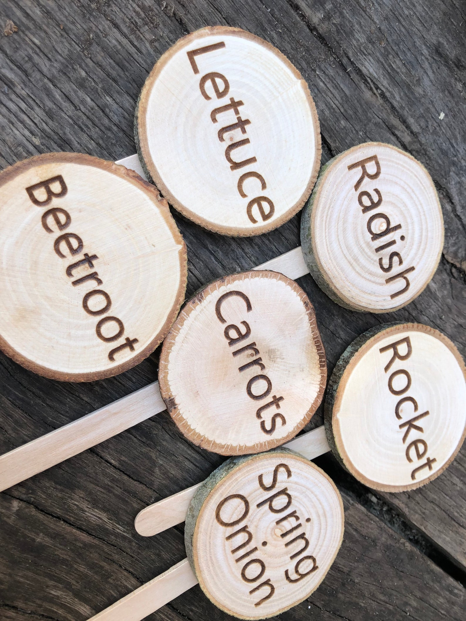 Garden Plant Signs Garden Markers for Seed Beds Vegetable - Etsy UK