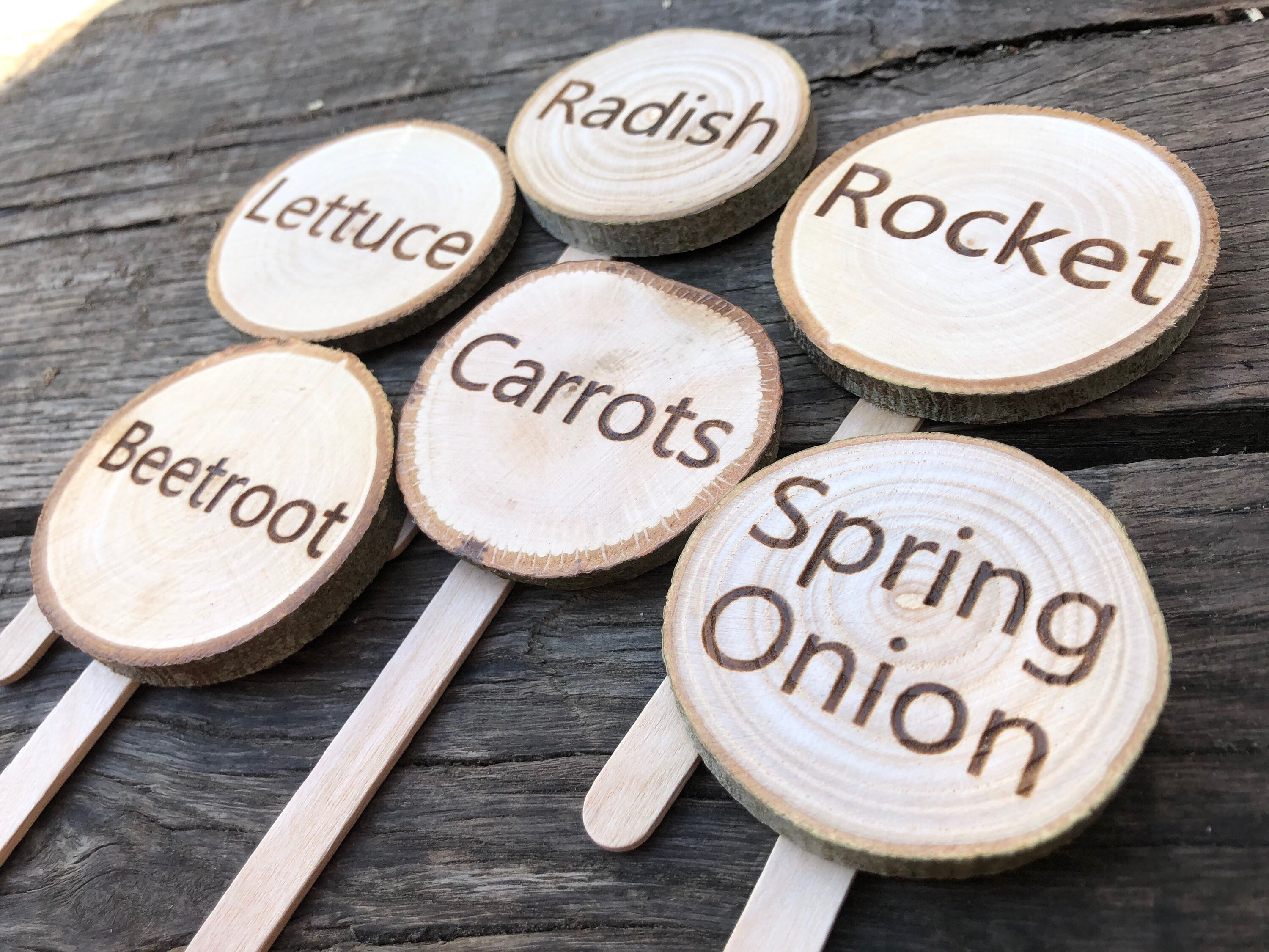 Garden Plant Signs Garden Markers for Seed Beds Vegetable - Etsy UK