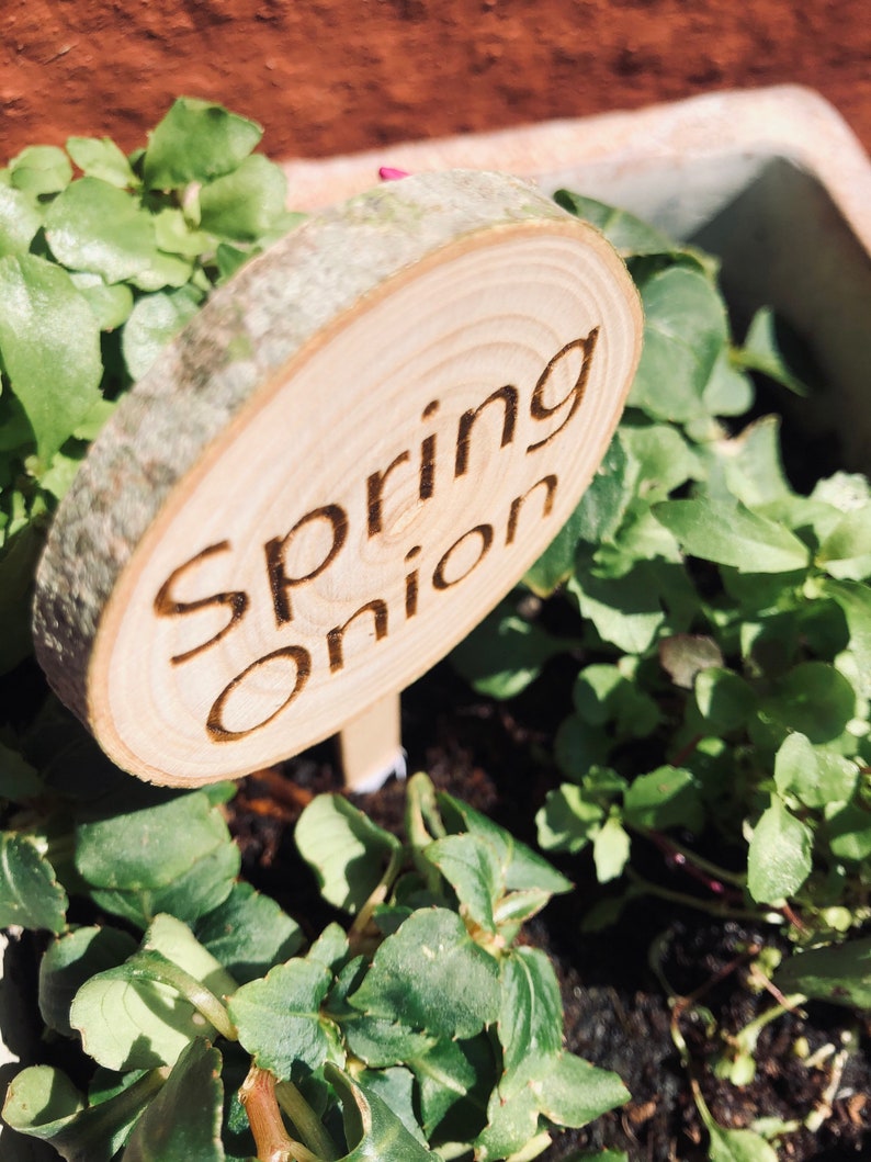 Garden Plant Signs Garden Markers for Seed Beds Vegetable | Etsy UK