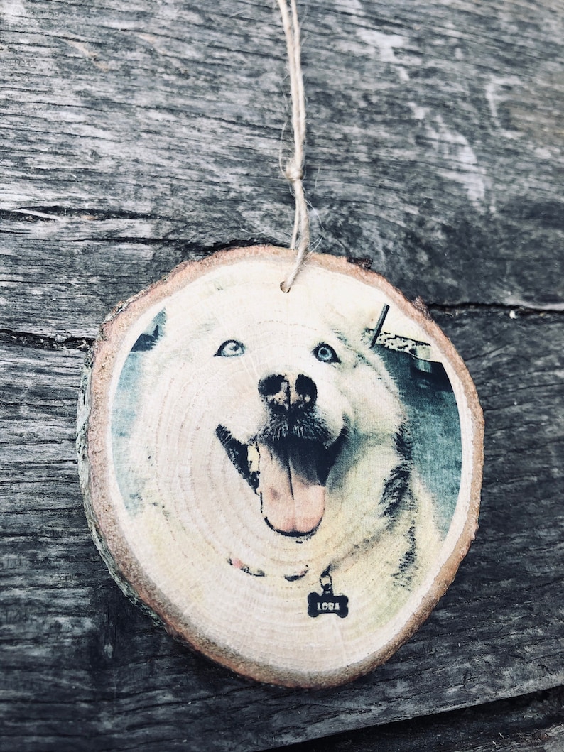 Pet Loss Plaque Wooden Animal Memorial Plaque Dog Grave - Etsy