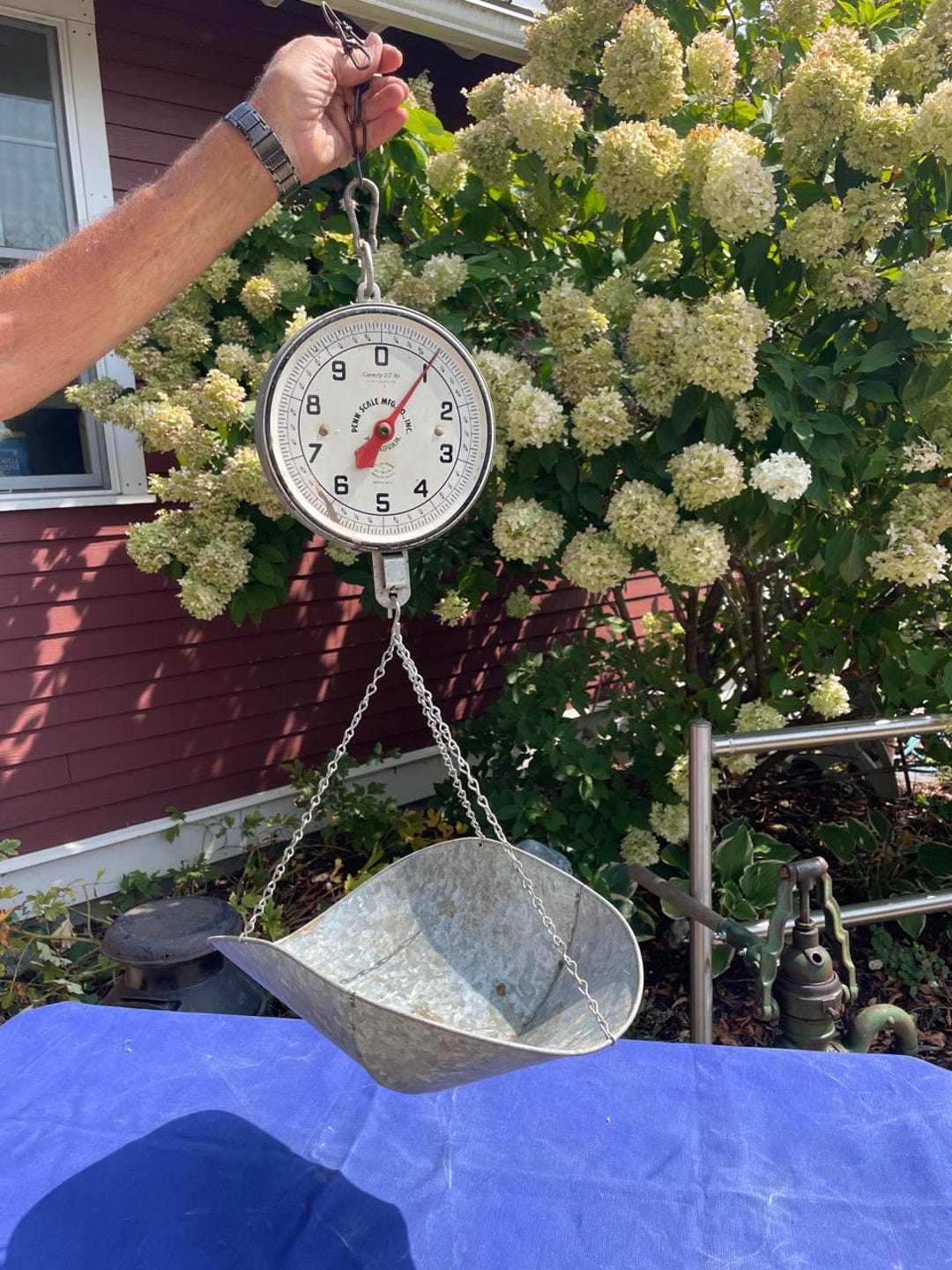 Hanging Penn Scale Mfg Co 20 Lbs Kitchen Produe Marketing Scale - Etsy