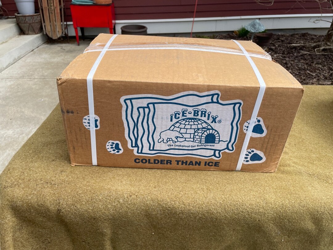 ICE BRIX Box of 48 5 1/2 X 5 1/2 Cold Gel Pack, Reusable, Leak Proof ...