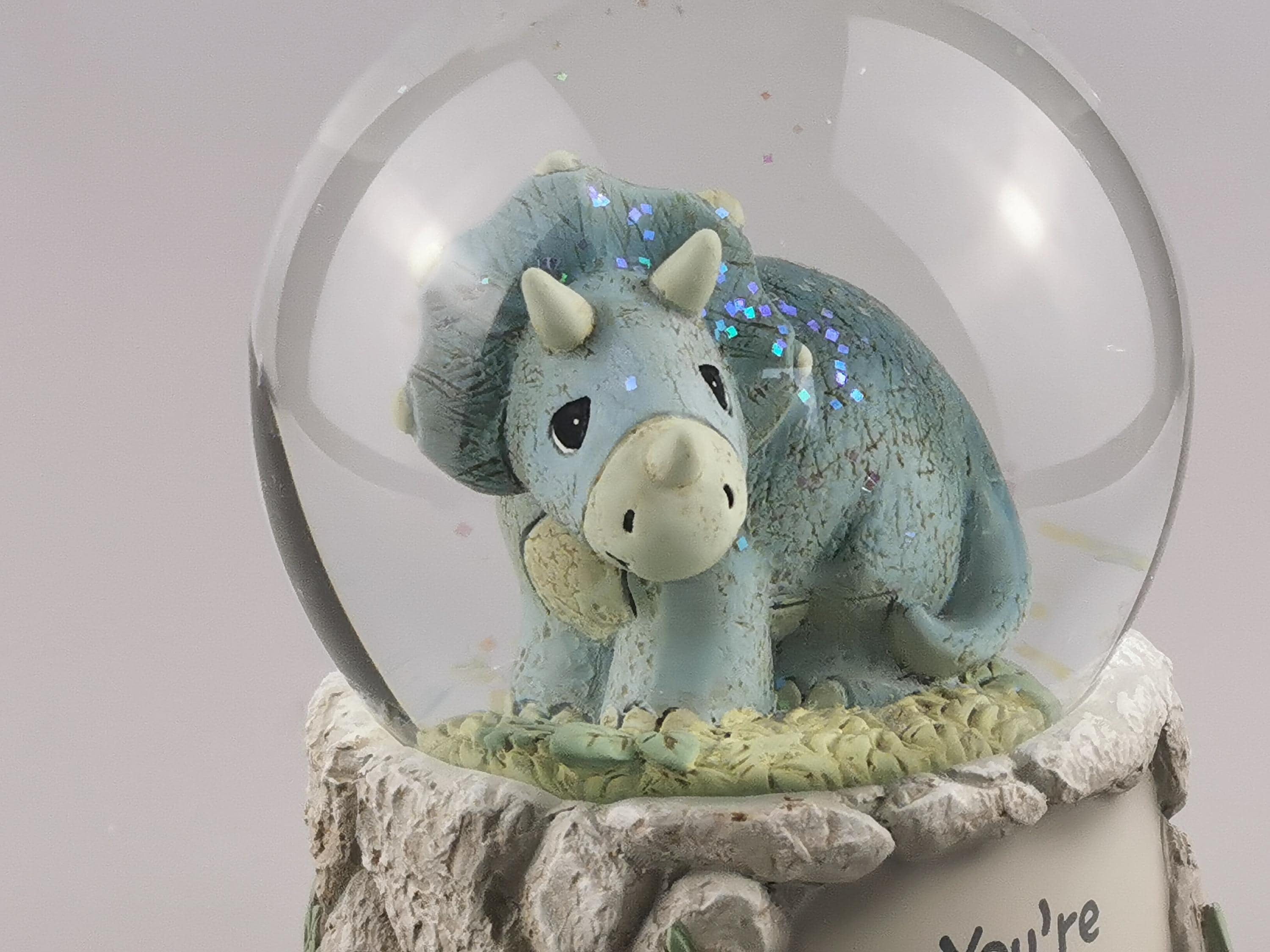 No Extra Duty,customized Musical Water Globe, Dino Snow Globe ...