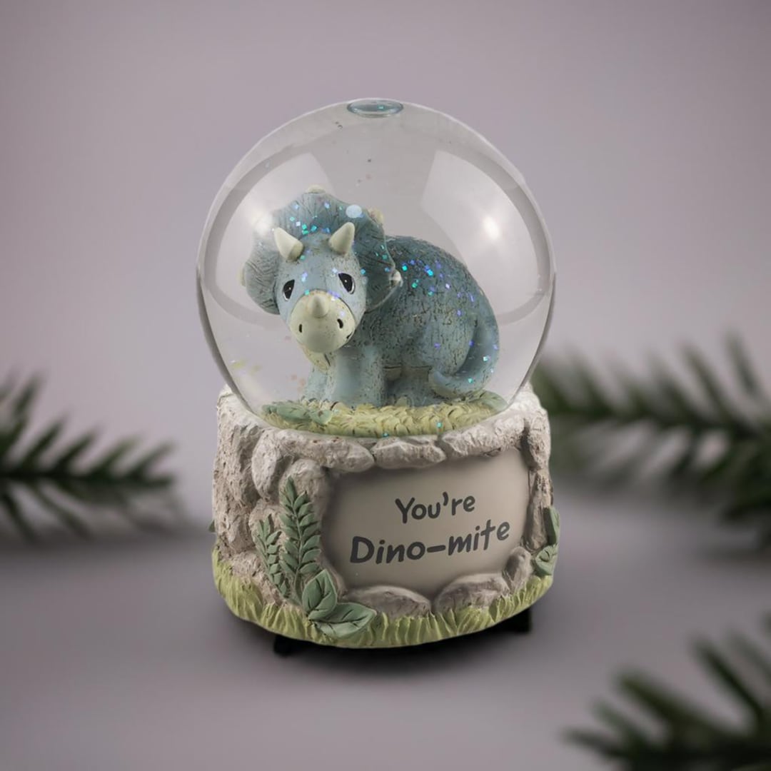 Customized Musical Water Globe, Dino Snow Globe,personalized Snow Globe ...
