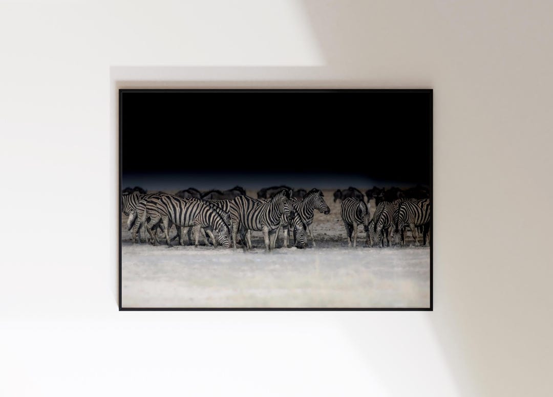 Zebras in Etosha Namibia, Photography, Wall Decoration, Home Decor ...