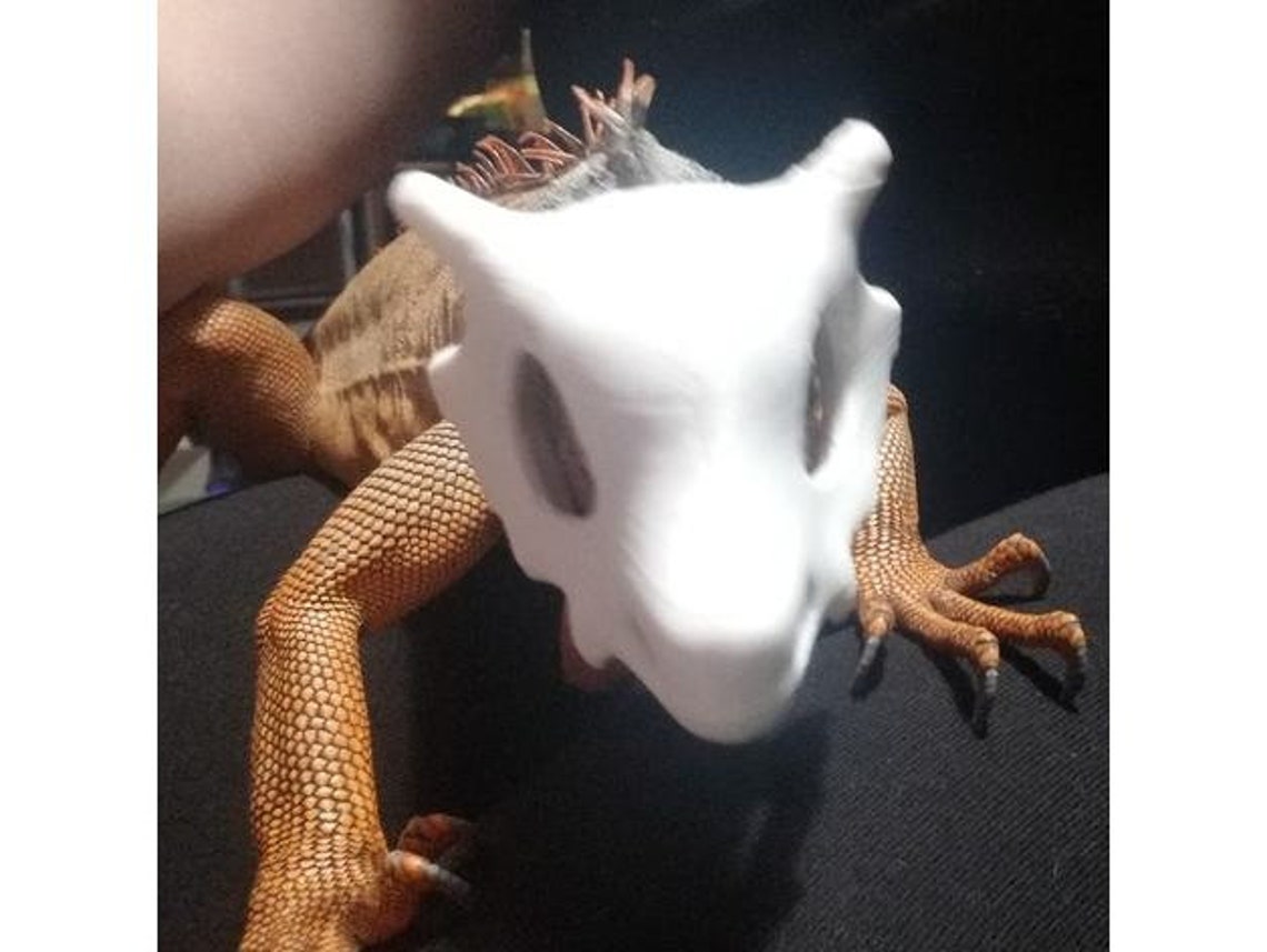 Cubone Mask for Dog / Cat / Hamster / Guinea Pig / Lizard Etc - Etsy UK