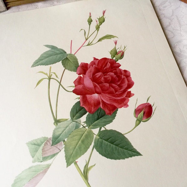 Victorian Engraving - Etsy