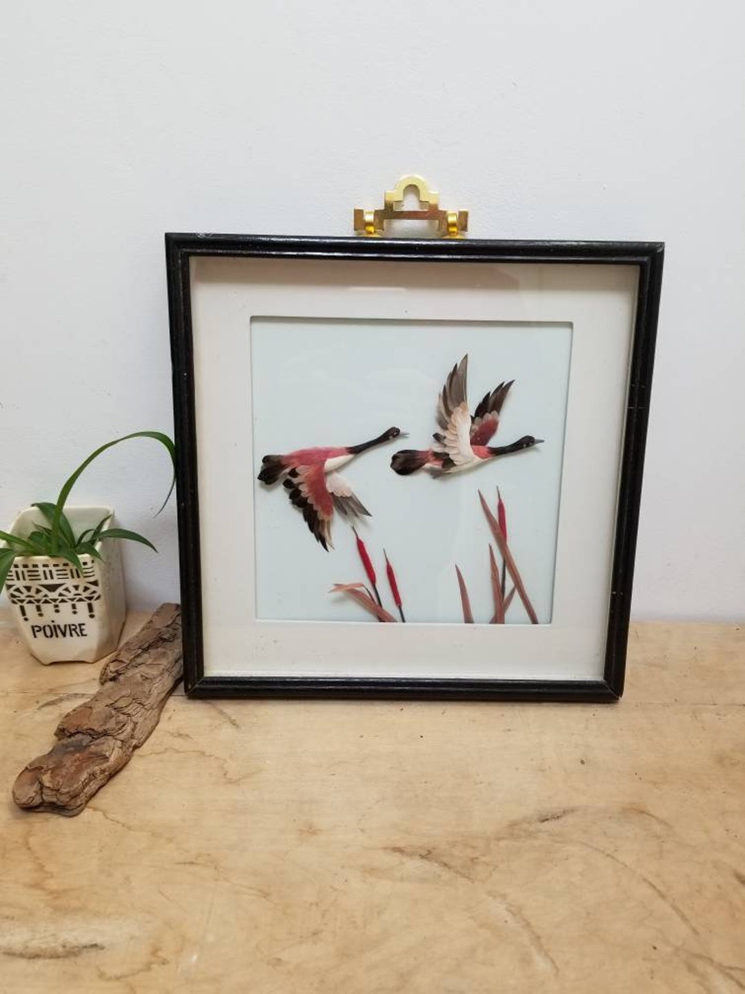 Vintage 3D Shadow Box Frame Chinese Feather Bird Picture, 1950s ...