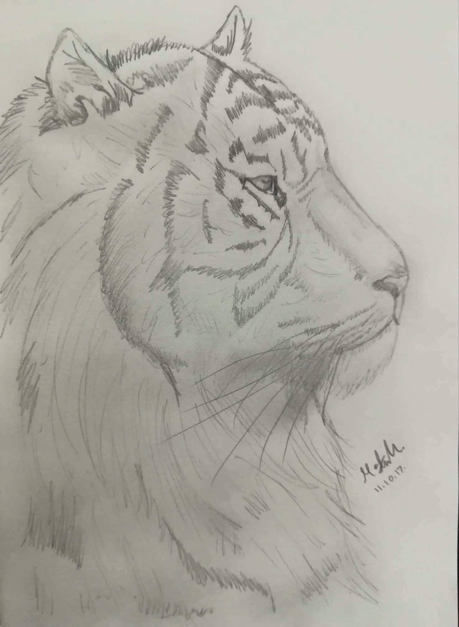 Personalised Animal Portraits - Etsy