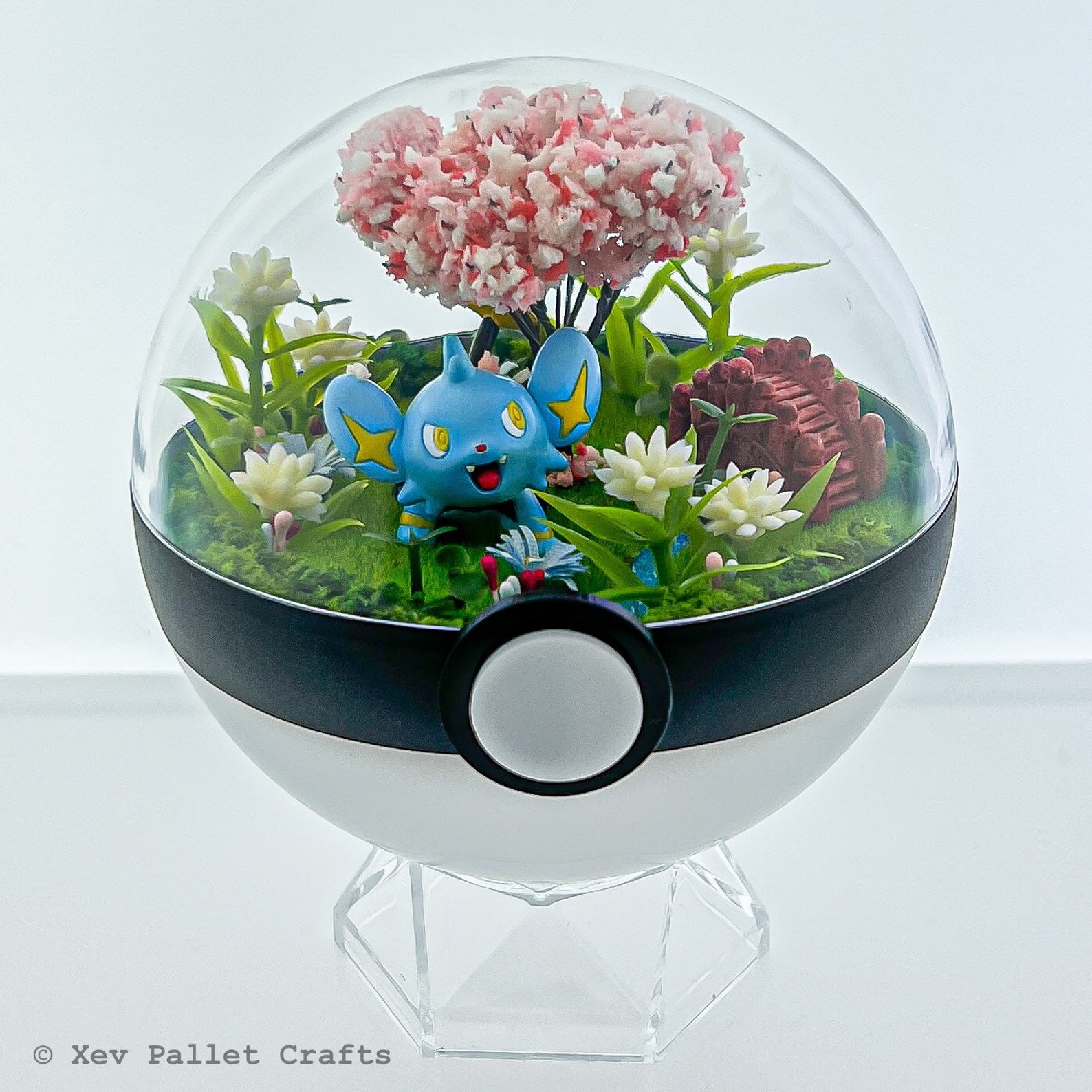 4 / 10cm Grasslands Pokemon Terrarium | Etsy