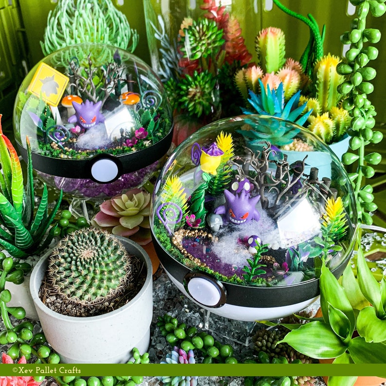 Cemetery Pokeball Terrarium - Etsy