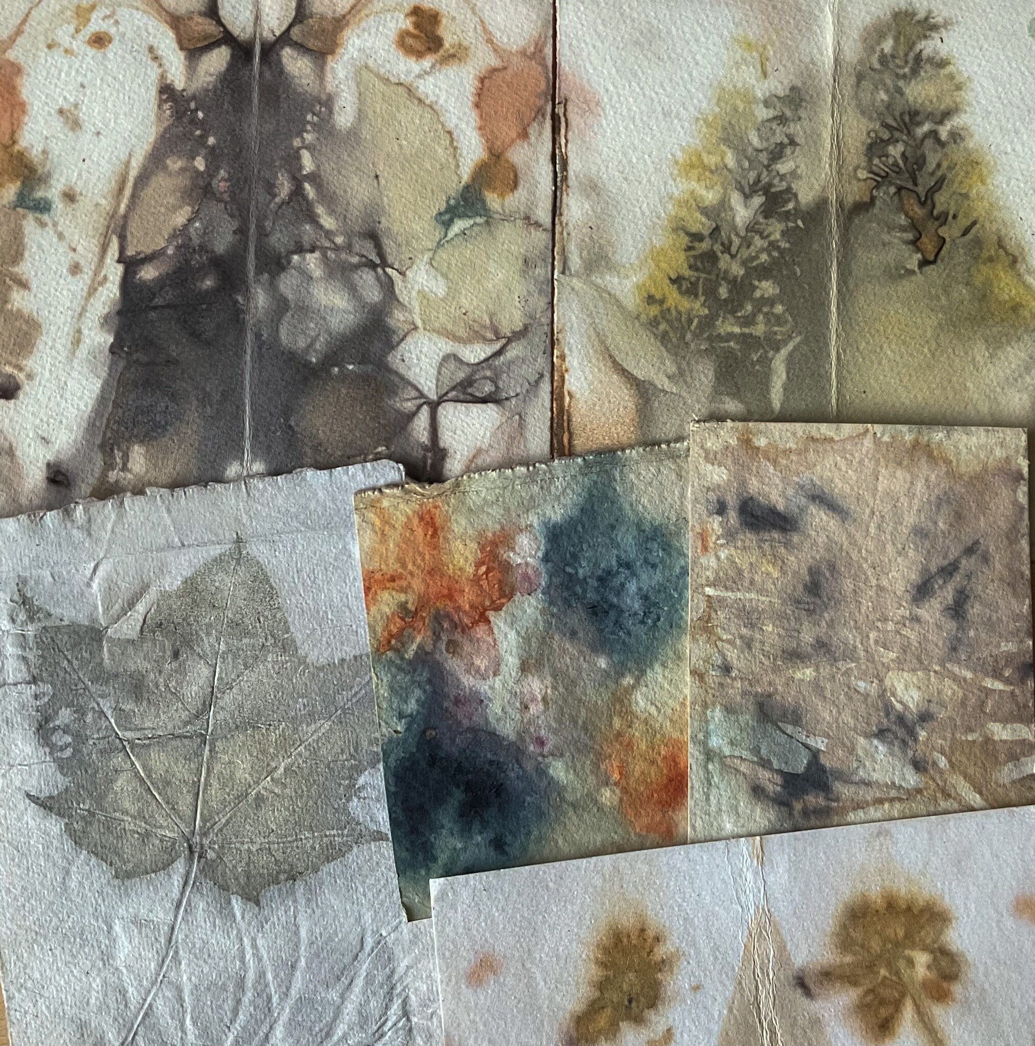 A Beginner's Guide to Eco-printing on Fabric and Paper - Etsy