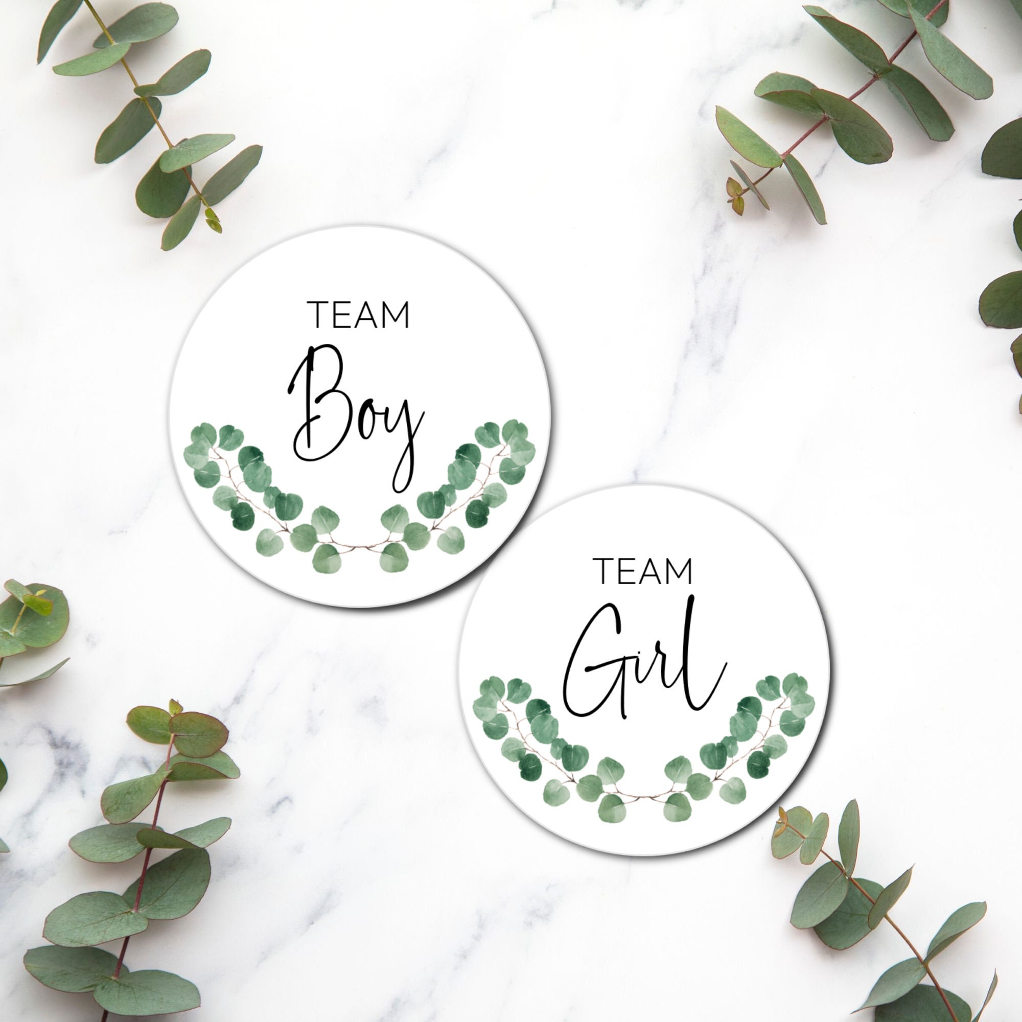 Printable Gender Reveal Greenery Minimal Tag She or He - Etsy