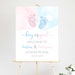 Printable Footprint Gender Reveal Welcome Sign, Blue and Pink ...
