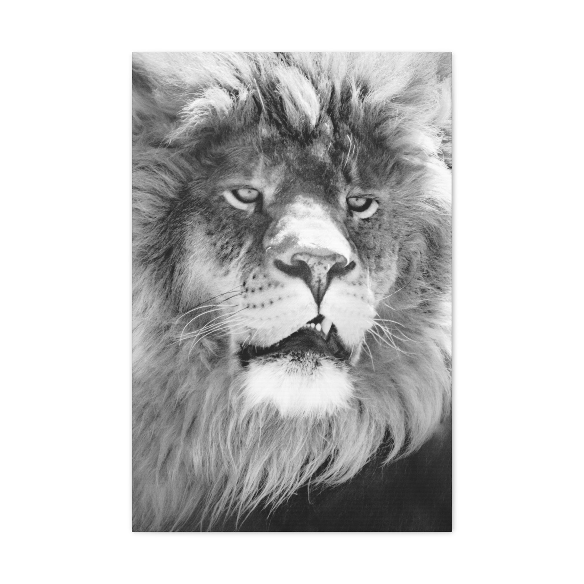 Lion Photograph, African Art, Safari Decor, Lion Face Poster, Lion ...