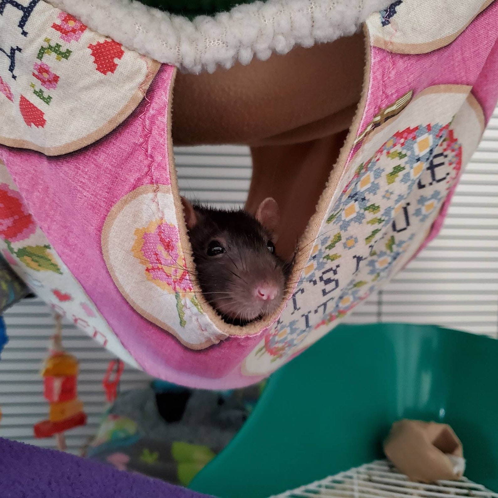 Rat Hammocks Rat Hammock Rats Rat Cage Sets Cage Set - Etsy