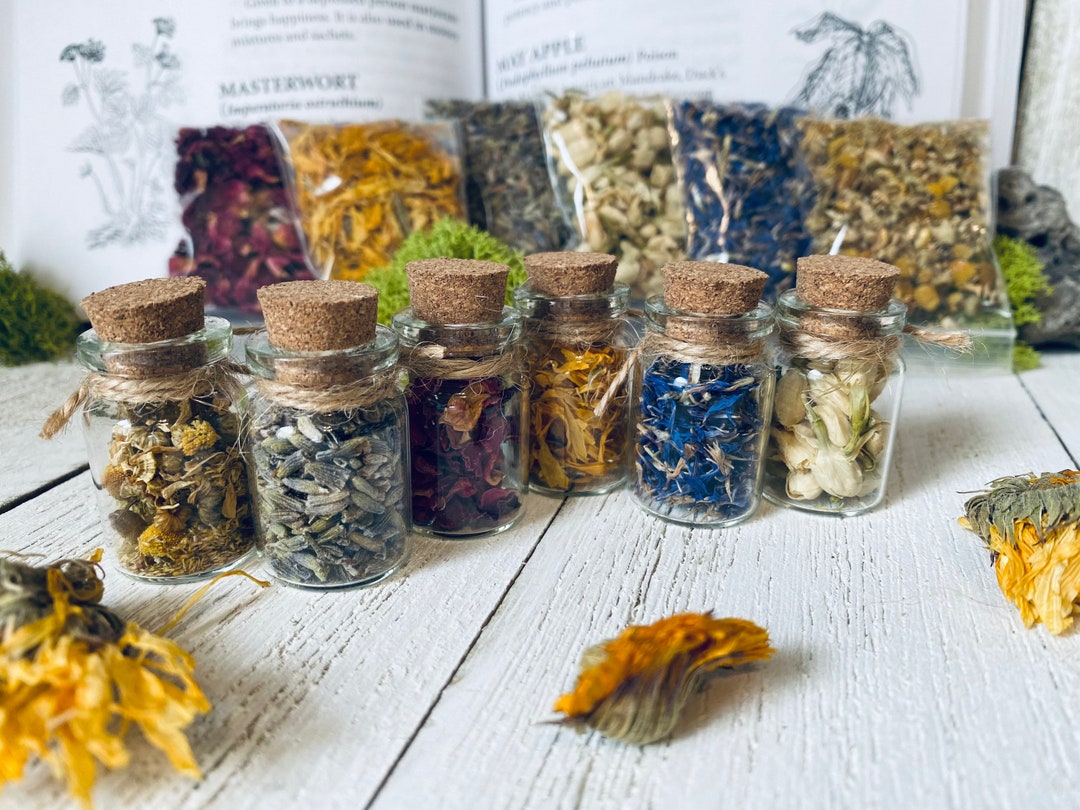 Apothecary Flower Set Botanical Set Floral Herb Set - Etsy