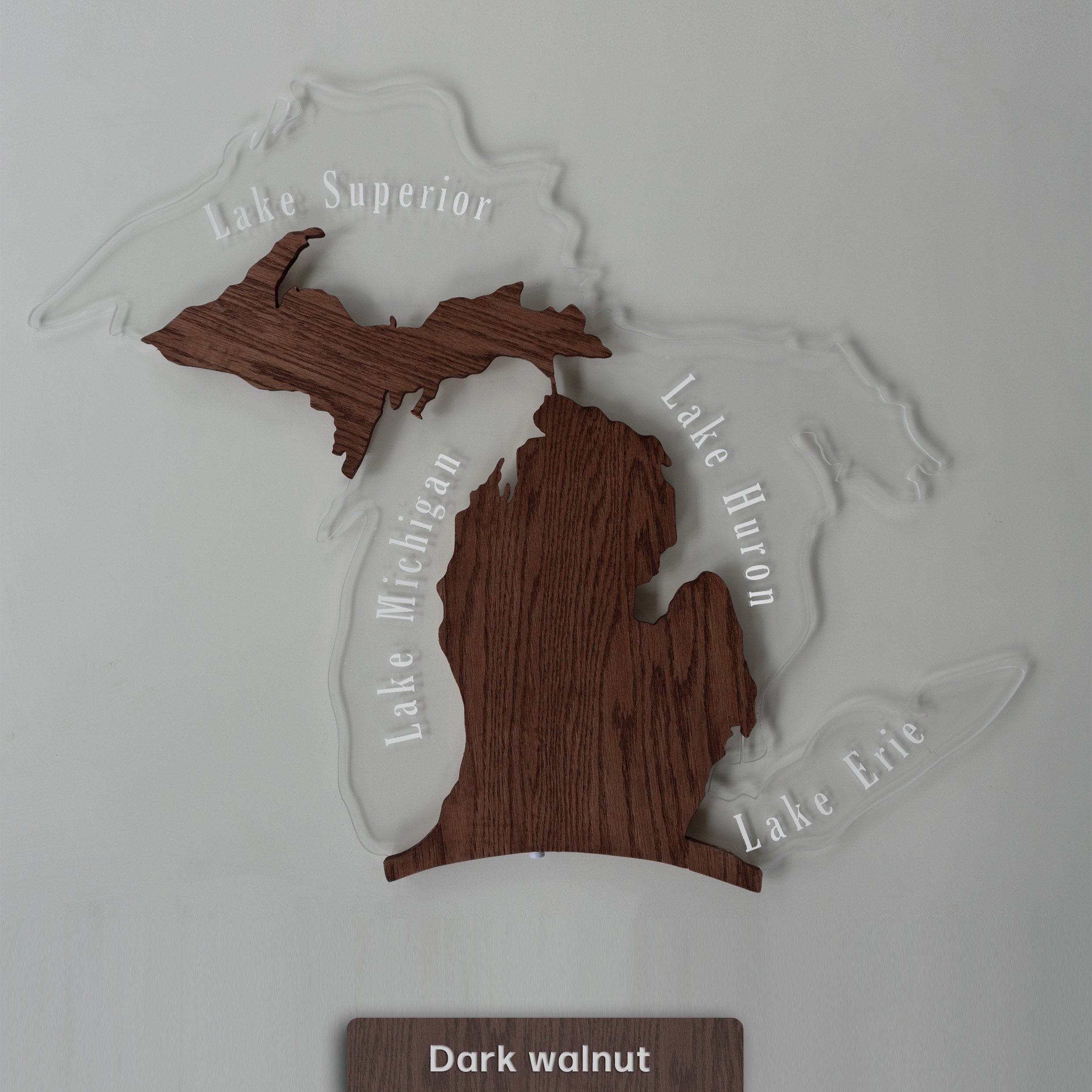 Michigan Wall Sign, Edge Lit Multi-color LED Art Décor, Wood & Acrylic ...