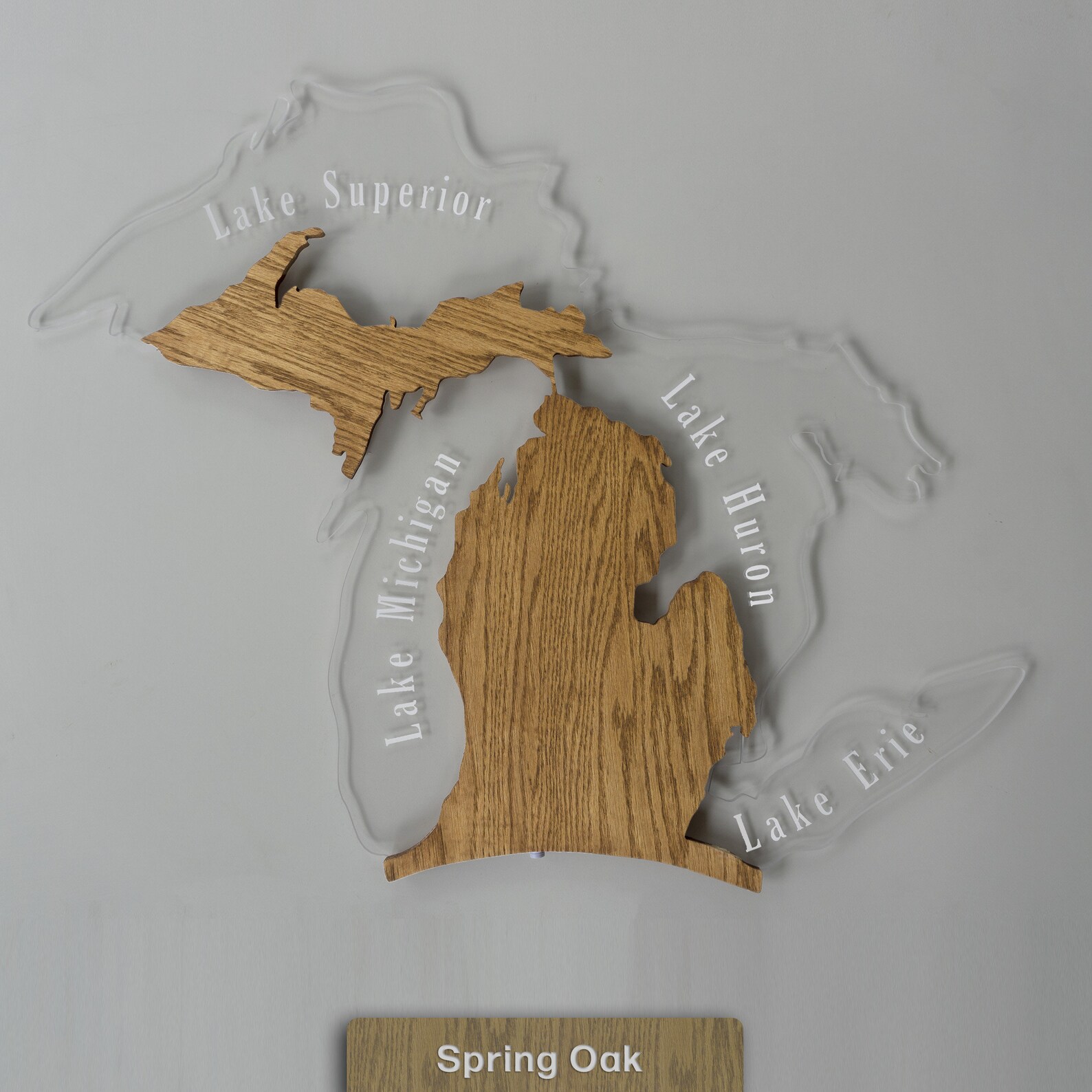 Michigan Wall Sign, Edge Lit Multi-color LED Art Décor, Wood & Acrylic ...