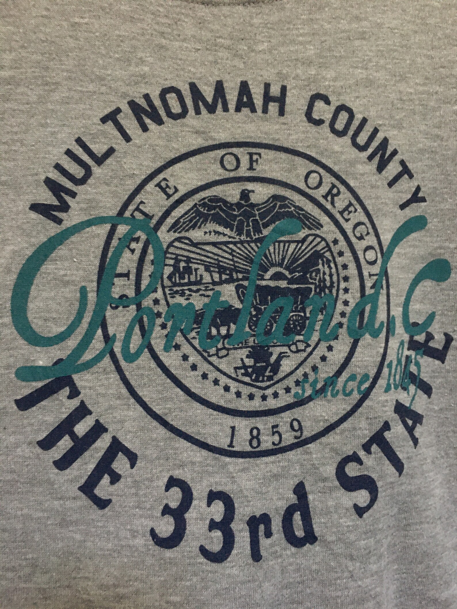 Rare Multnomah County the 33rd State Portland Big Logo - Etsy