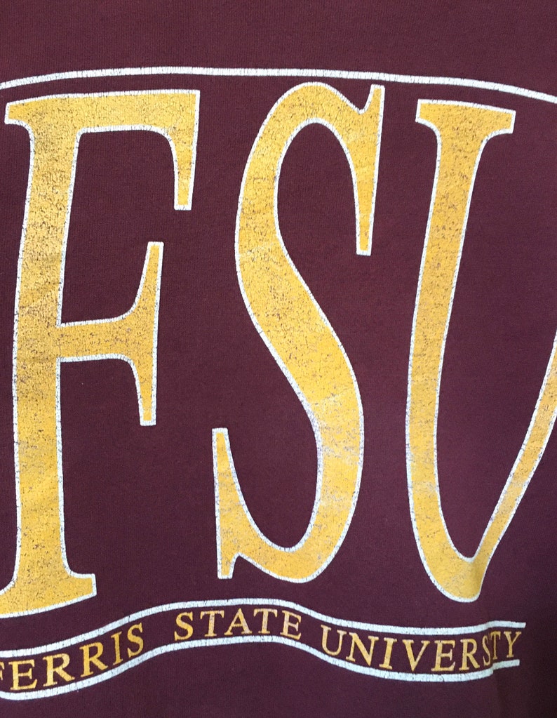 Rare! Ferris State University FSU Jansport 90s Big Logo Vintage ...