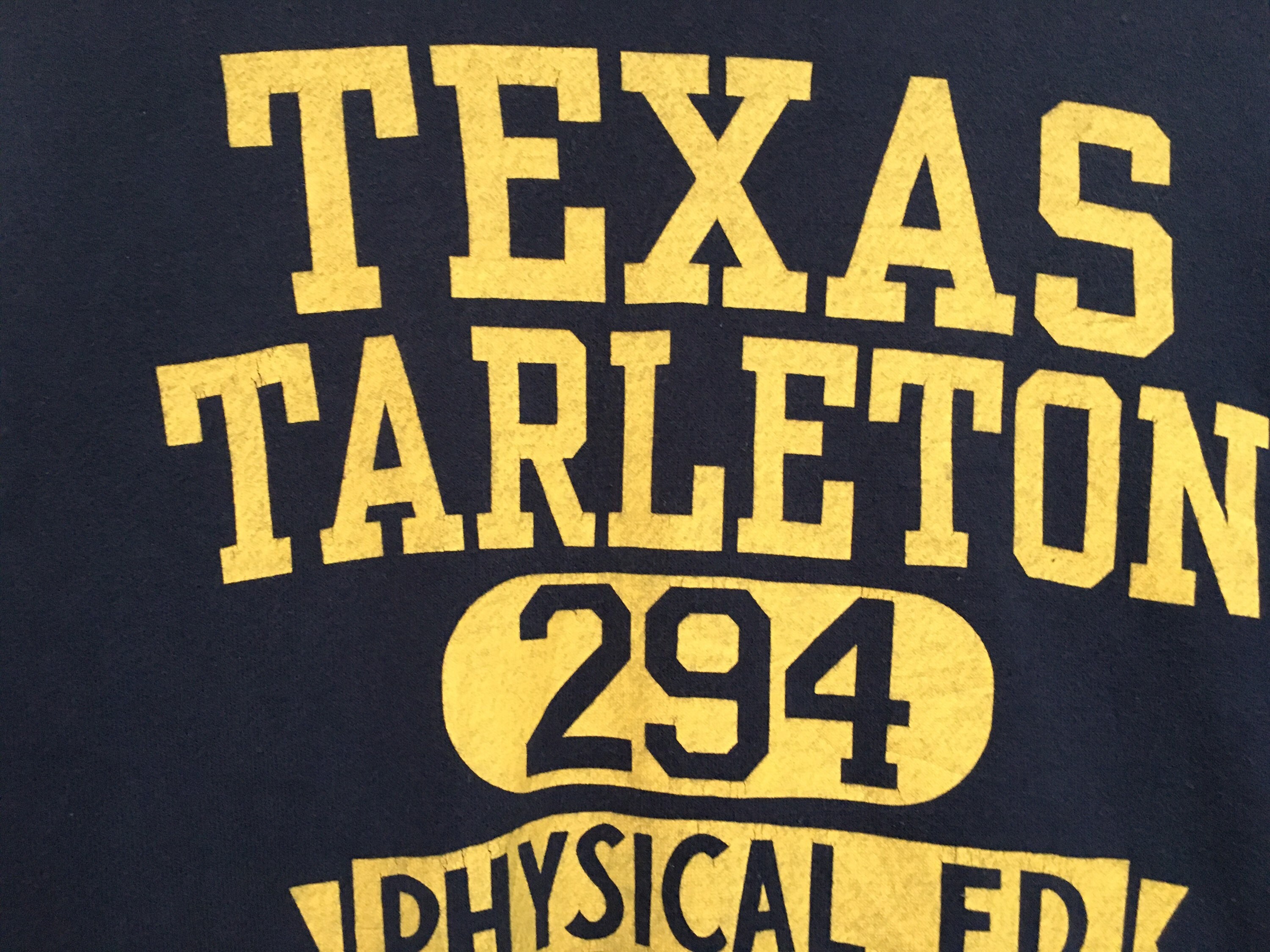 Rare 90s Champion Texas Tarleton USA Big Logo Spellout Vintage Crewneck ...