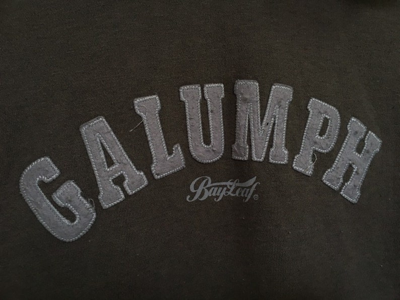 Rare GALUMPH Bay Leaf Vintage Big Spell Out Logo Embroidery Hoodies ...