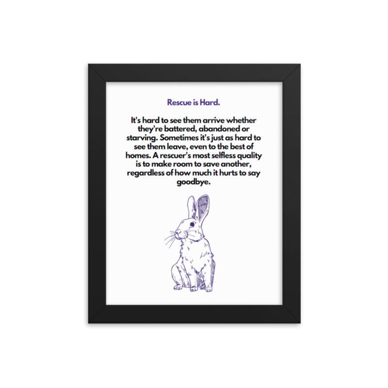Rescue is Hard Rabbit Printable Digital Download Animal Wall Art Pet ...