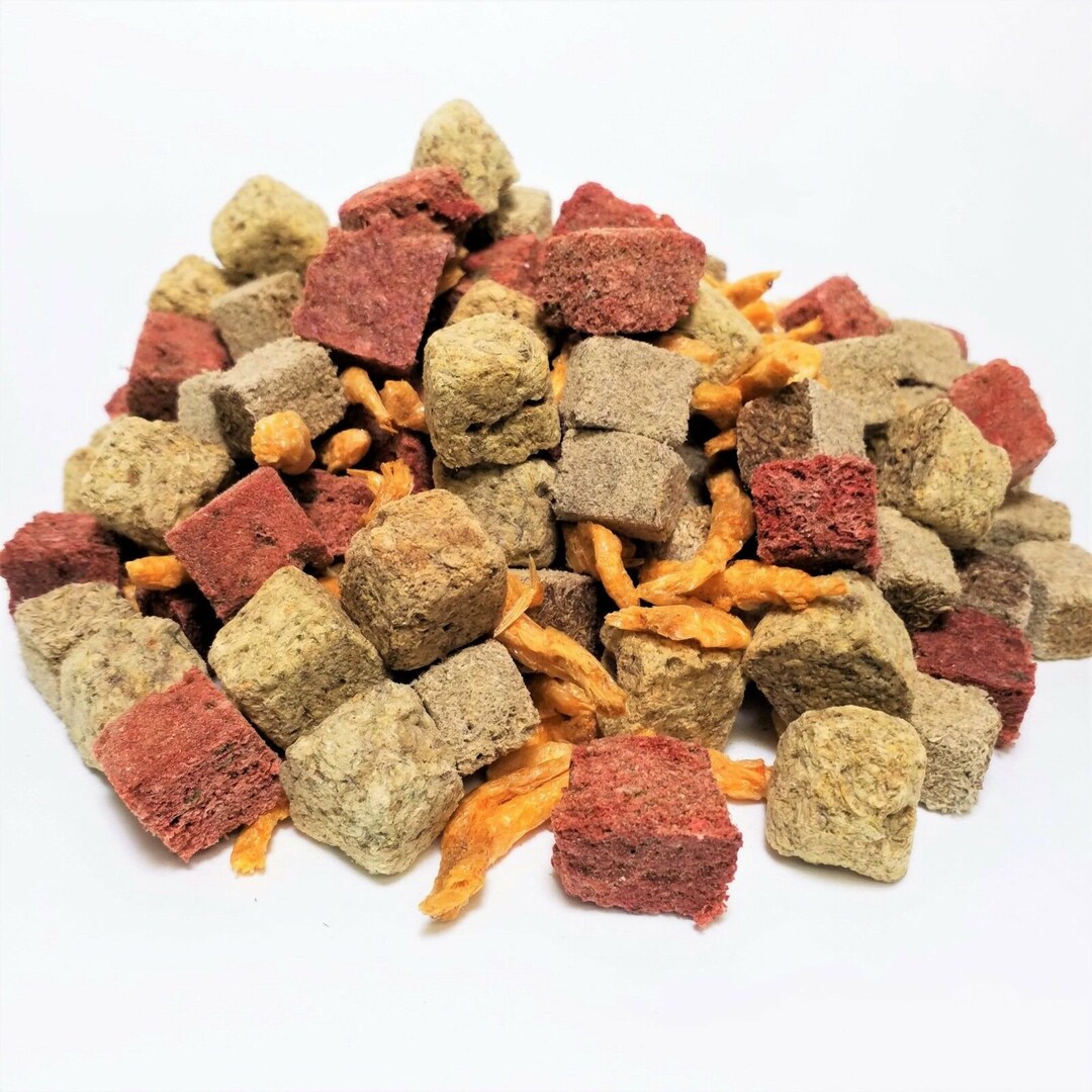 GOURMET Blend Freeze Dried Cubes With Krill Tubifex, Brine Shrimp, Beef ...