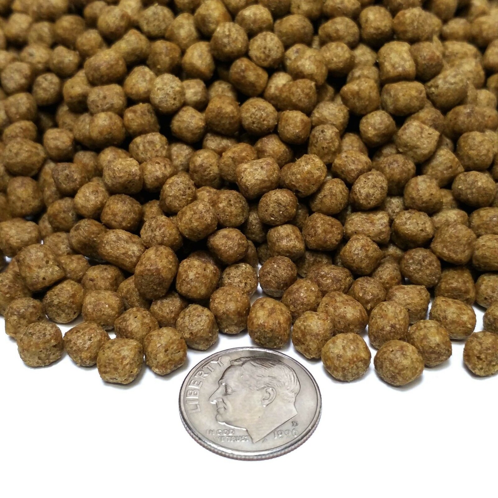 Zoomed Aquatic Turtle Maintenance Food in Bulk - Etsy