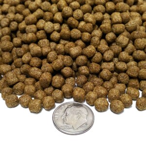 Zoomed Aquatic Turtle Maintenance Food in Bulk - Etsy