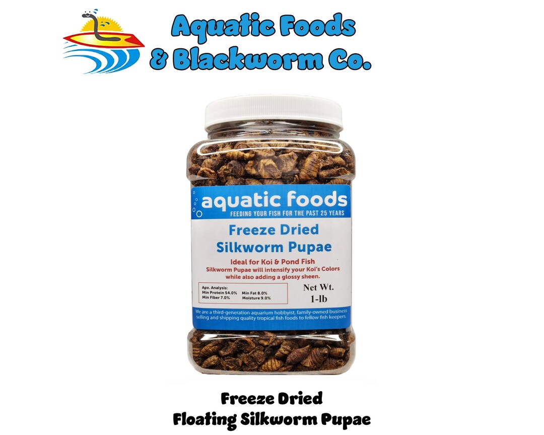 Silkworm Pupae, Freeze Dried for Koi, Pond Fish, Turtles, Large Fish ...