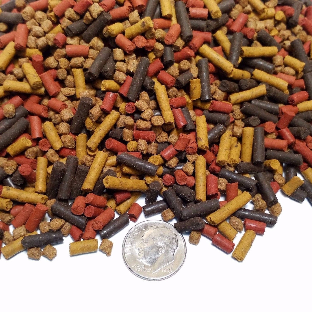 GOURMET Blend Stick & Pellet Mix for Cichlids Carnivores - Etsy