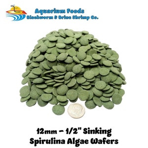 4-type Sinking Wafer Mix of Spirulina, Ultra-worm, Ultra-shrimp, Ultra ...
