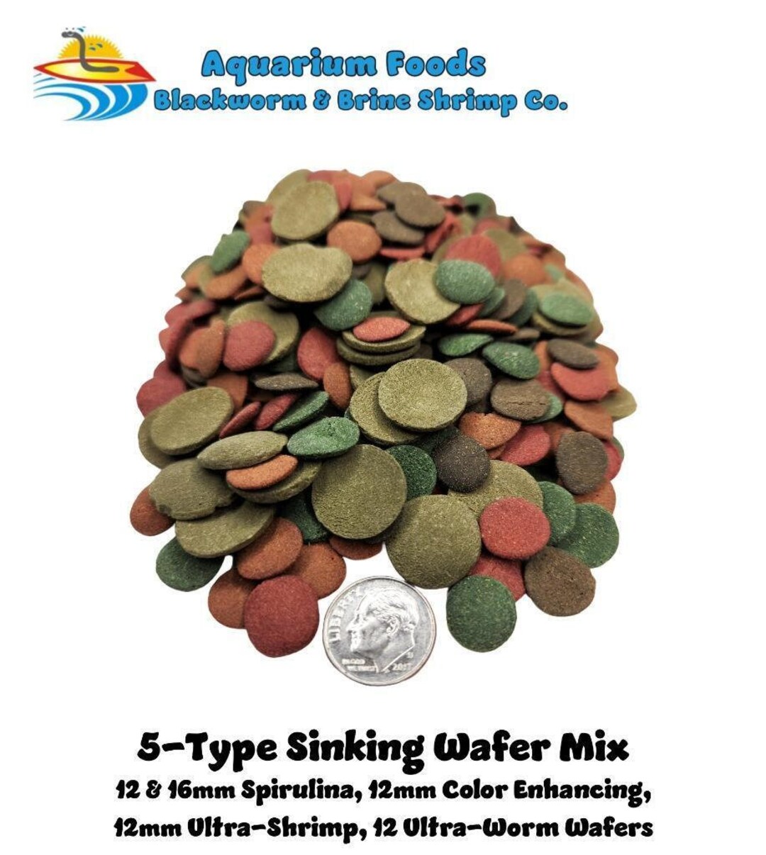 5-type Sinking Wafer Mix for Algae Eater, Catfish, Plecos, All ...