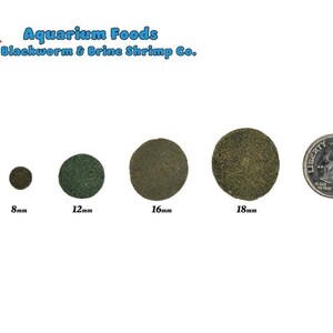 4-type Sinking Wafer Mix of Spirulina, Ultra-worm, Ultra-shrimp, Ultra ...