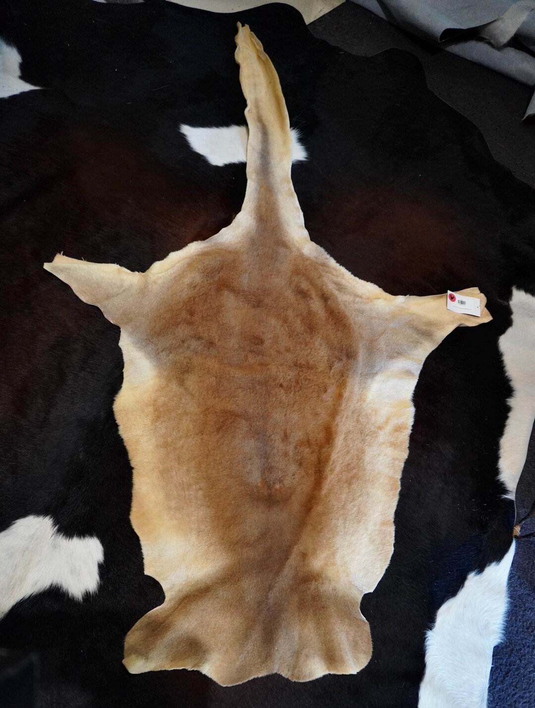 Australian Kangaroo Skin Rug: Red Ochre Tanned Hide - Etsy