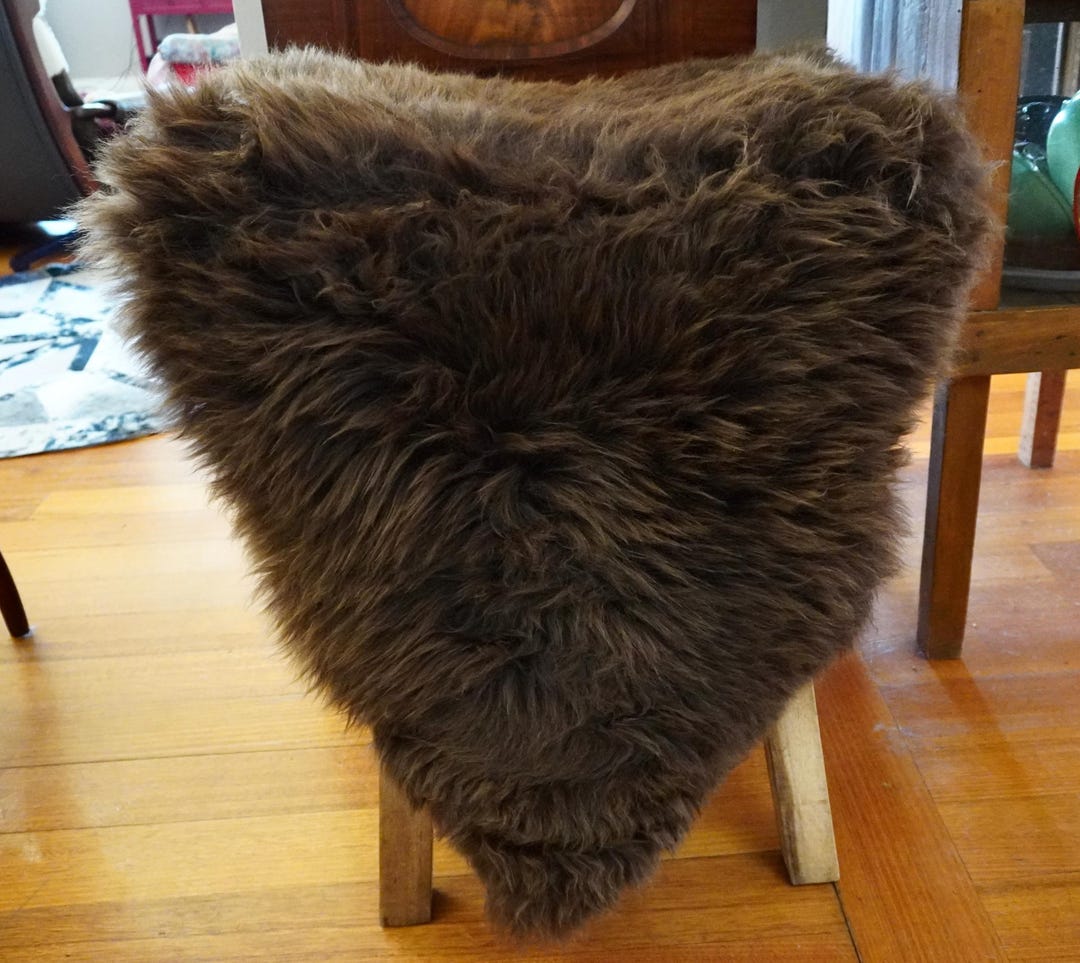 Warm Shades of Cocoa Brown -A Super Thick Swiss Mountain Sheep ...