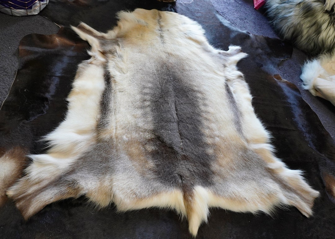 Wonderful Markings A Stunning Genuine Finnish Reindeer Pelt Living ...