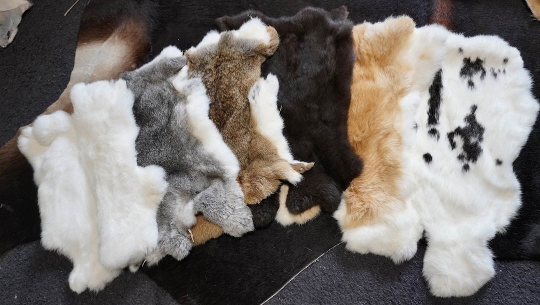Super Soft Rabbit Pelt – Tanned Craft Supply, Natural Colors - Etsy ...