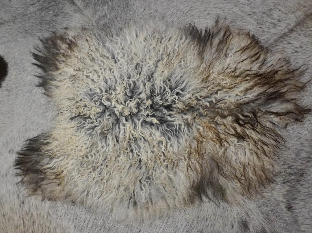 Wonderful Shades of Grey and White - A Gorgeous Naturally Curly Long ...