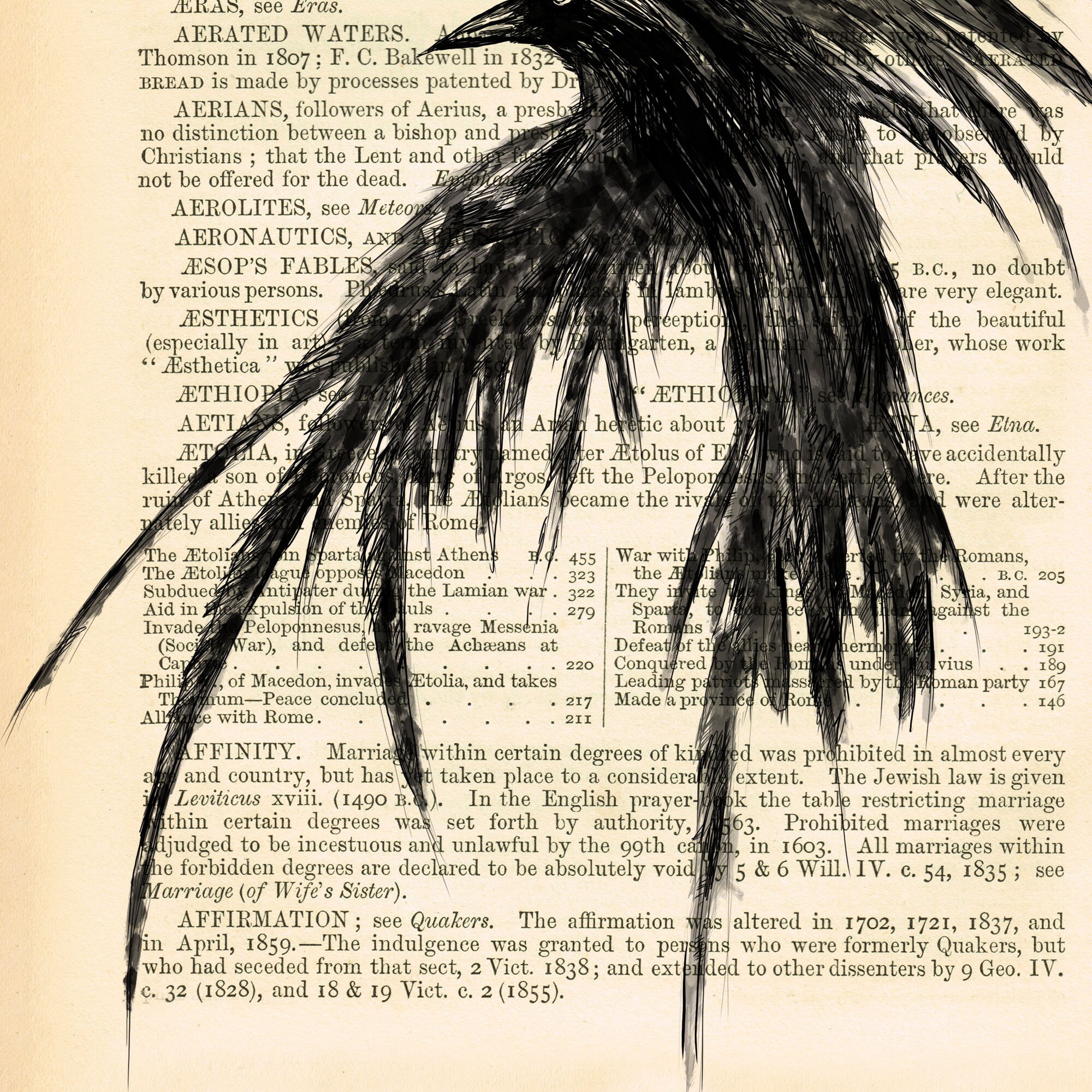 Raven Print Gothic Home Decor Witchcraft Print Home Decor | Etsy