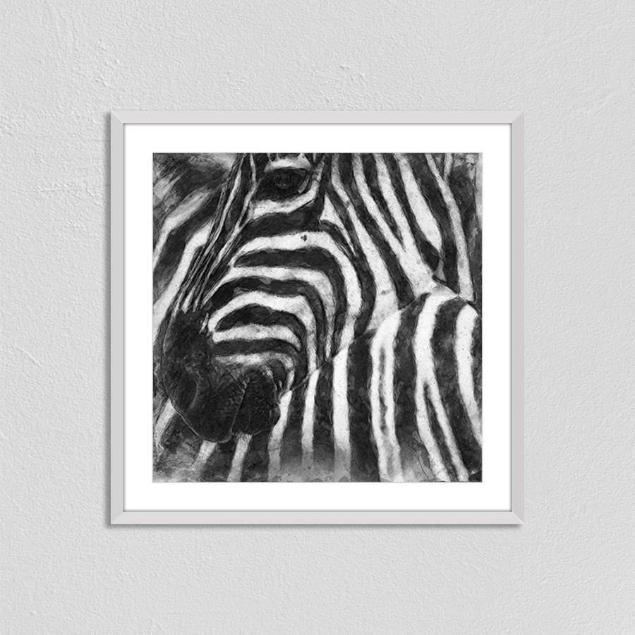 Zebra Square Print Animal Prints Wall Art Home Decor - Etsy
