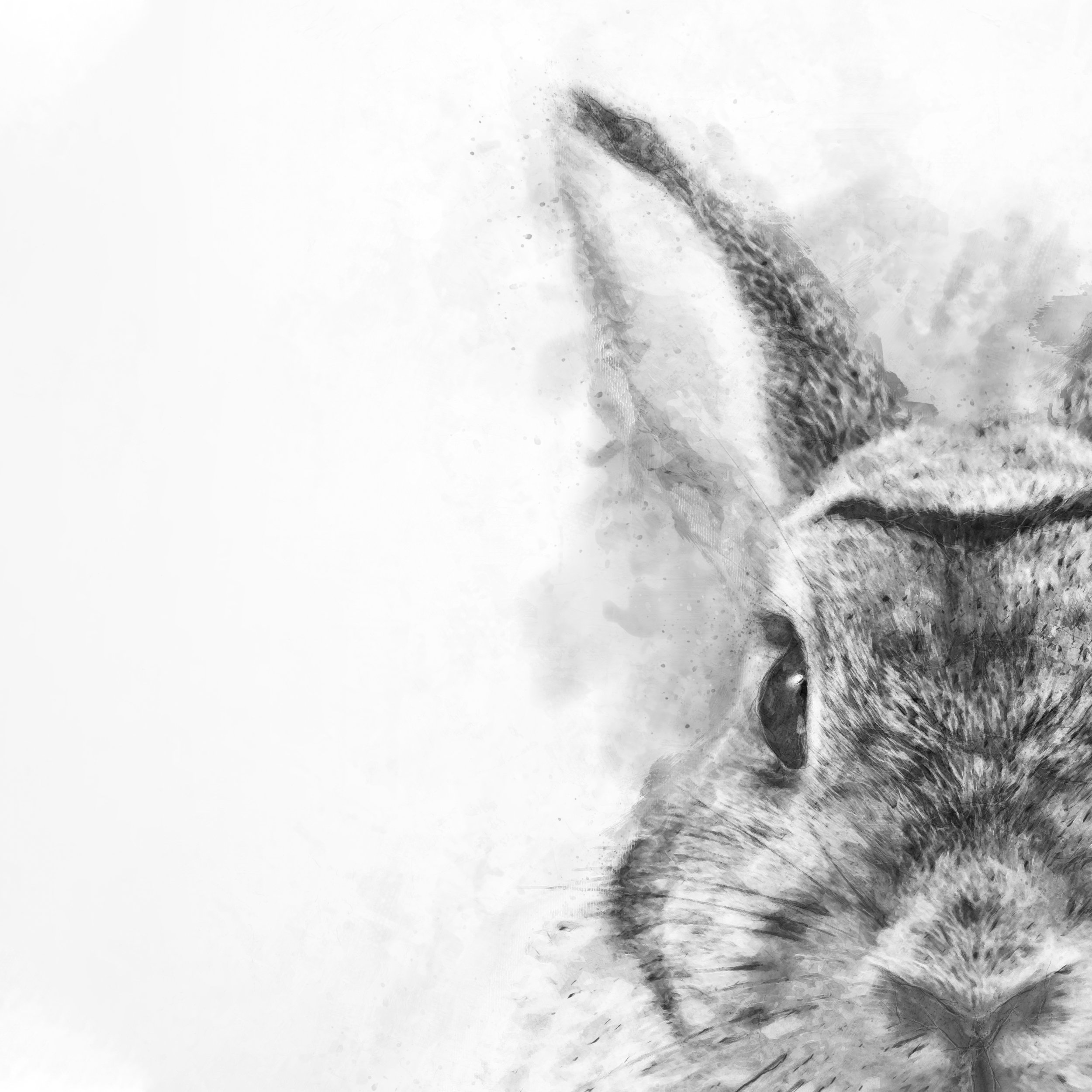 Rabbit, Square Print, Rabbit Print, Animal Prints, Home Decor, Black ...