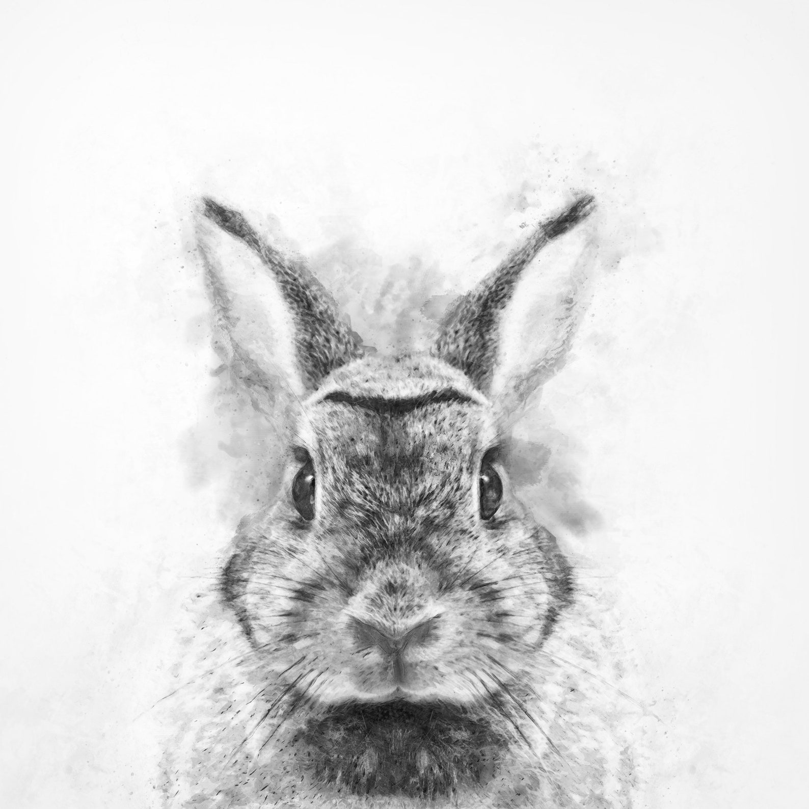 Rabbit, Square Print, Rabbit Print, Animal Prints, Home Decor, Black ...