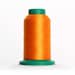 Isacord Thread SPANISH GOLD 0904 for Embroidery, Quilting, Decorative ...