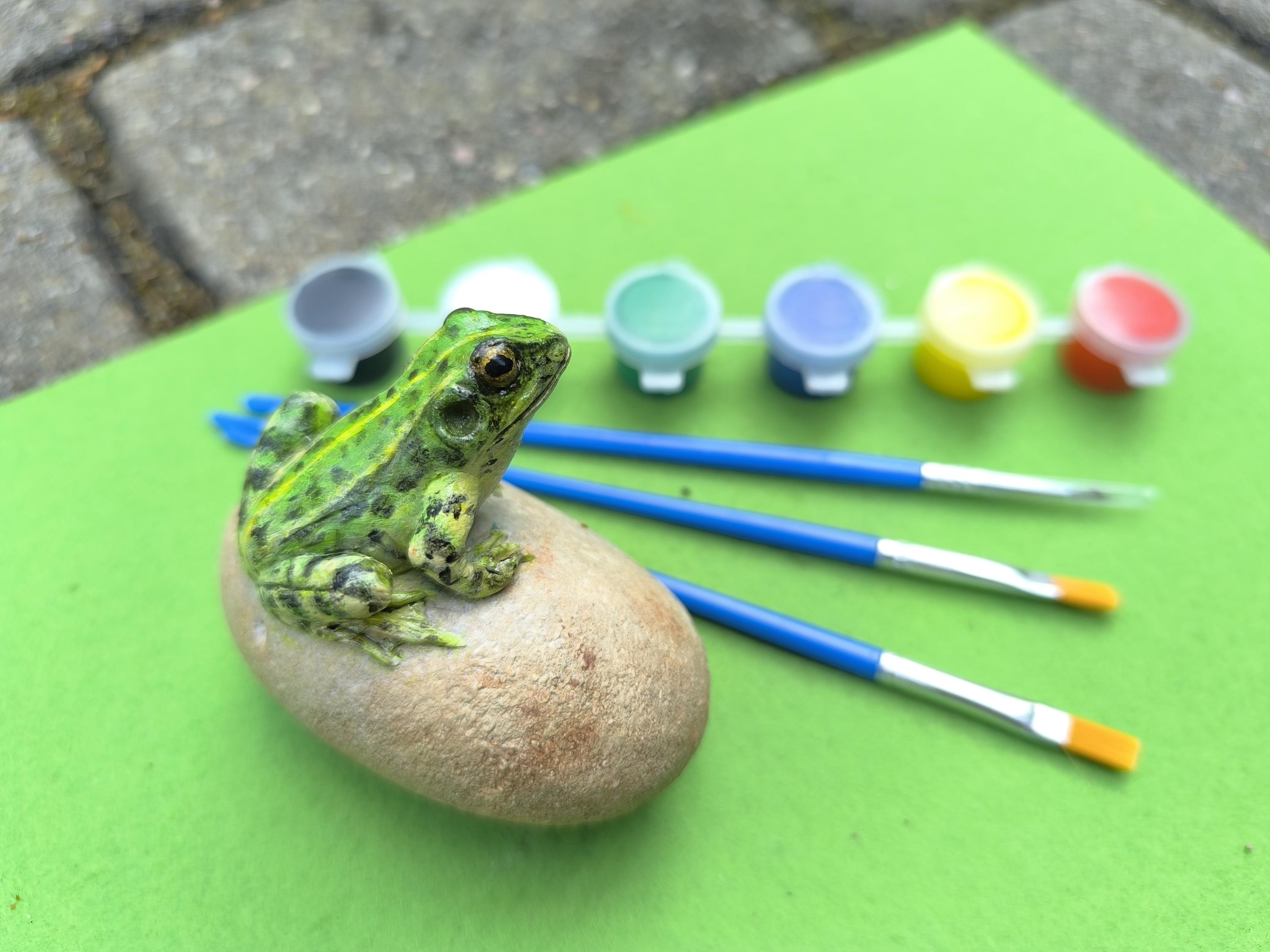 Creative and Educational Painting Kit for Kids and Adults, Creative ...