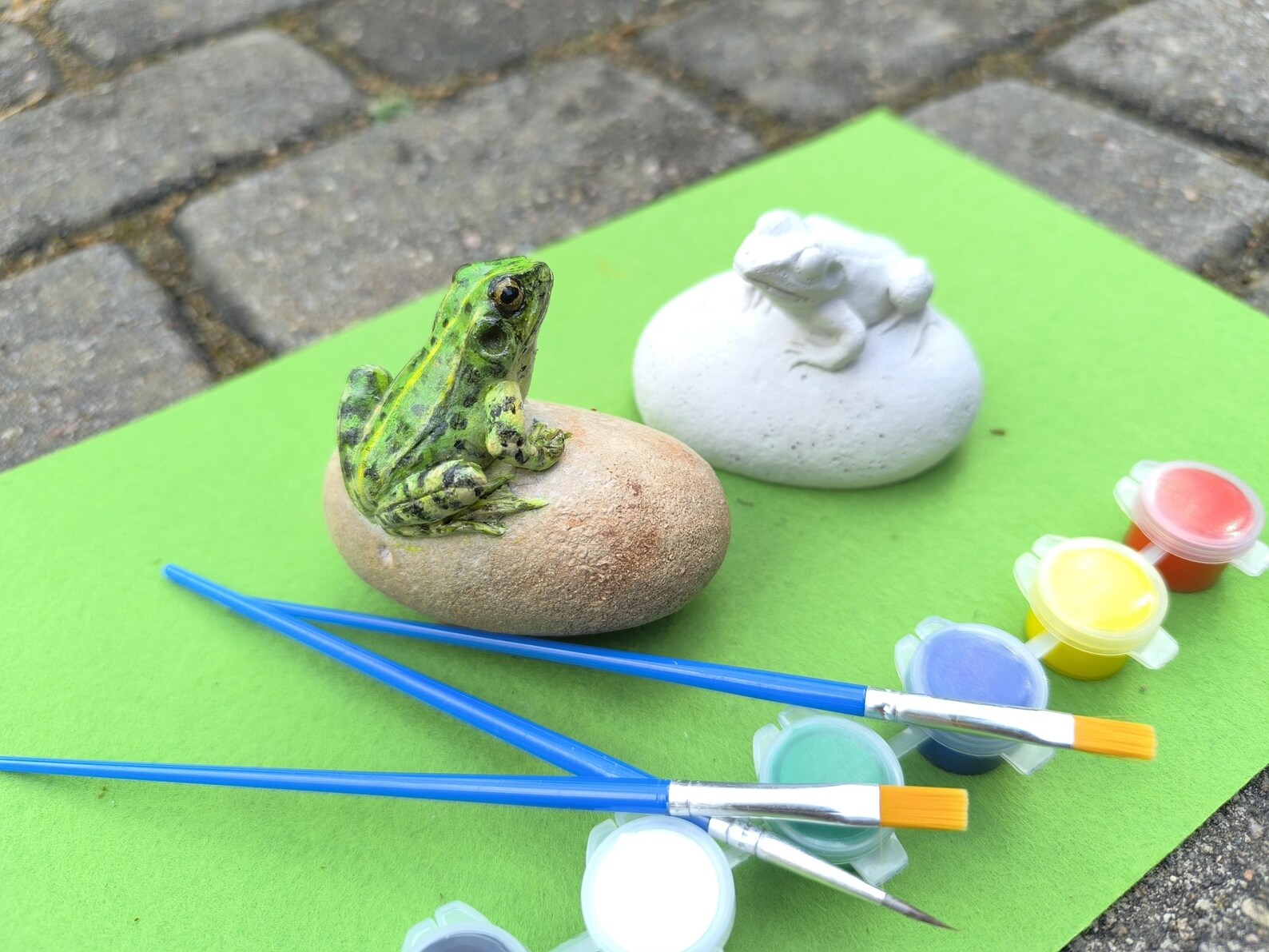 Creative and Educational Painting Kit for Kids and Adults, Creative ...