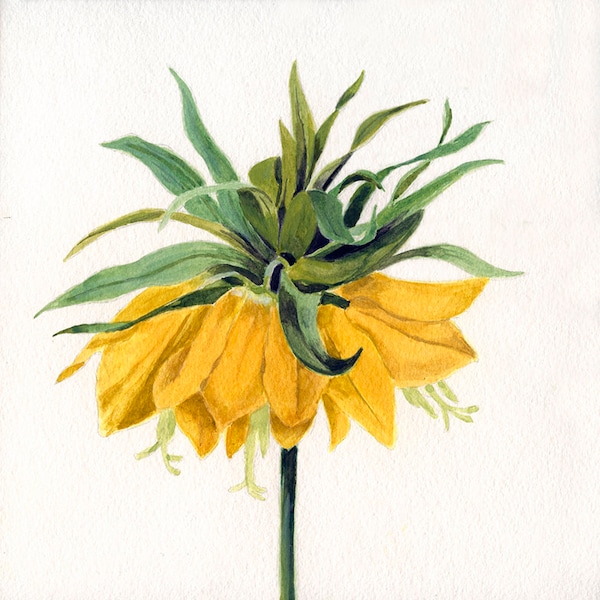 Yellow Flowers Painting - Etsy