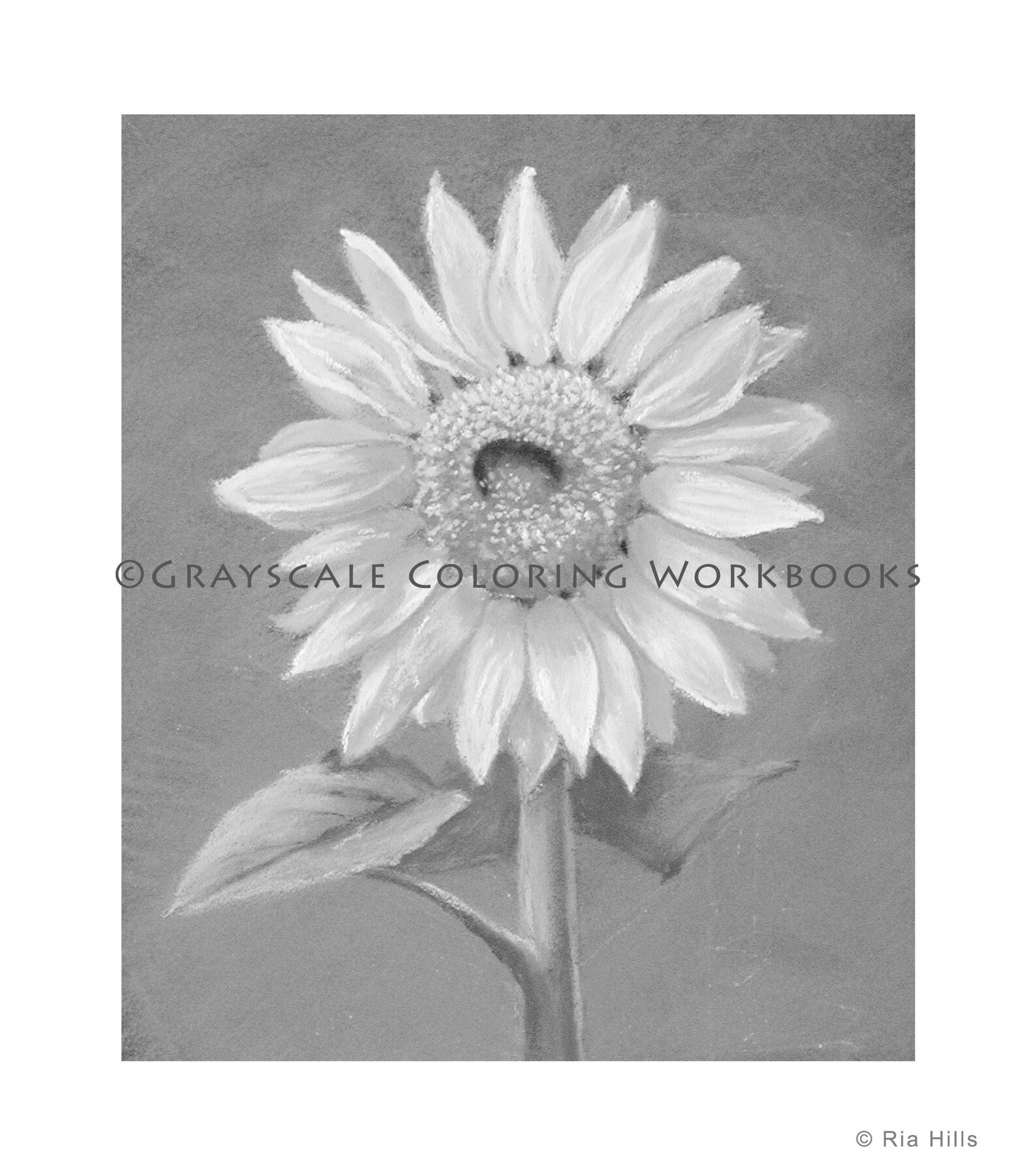 Printable Adult Grayscale Coloring Images, Sunflower and Teapot ...